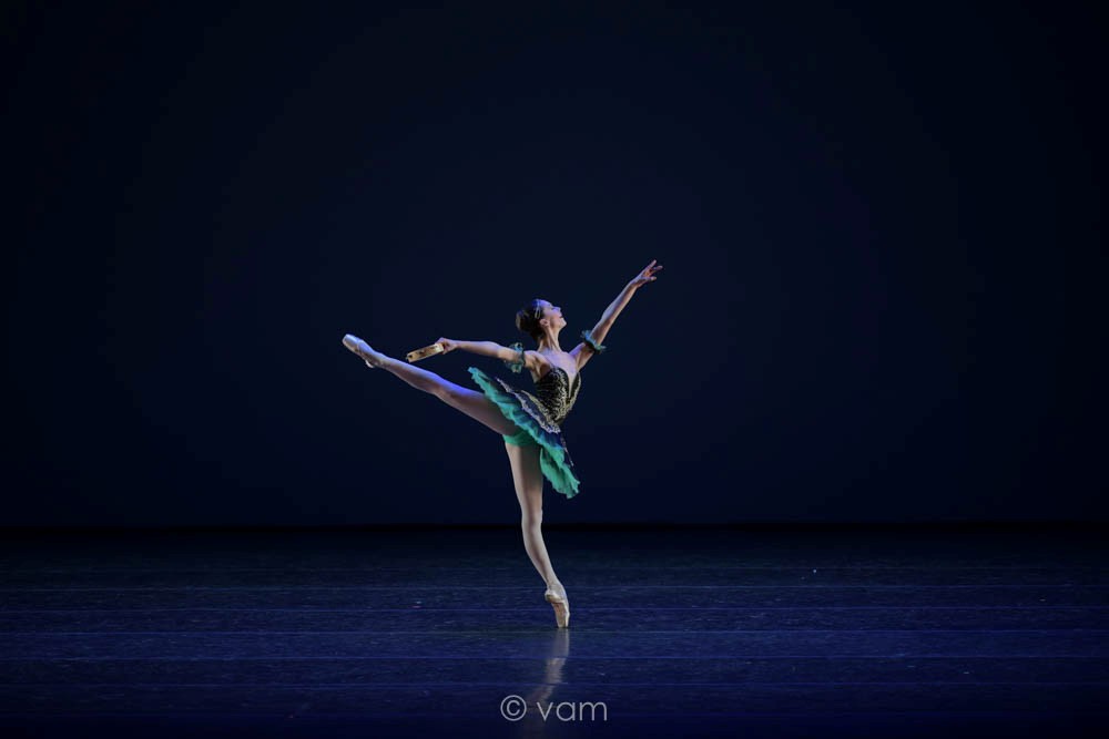 YAGP 2019 - FINALISTS GALLERY - Ballet Competition